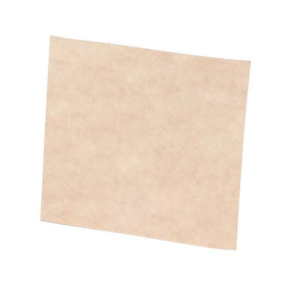 Scotch-Brite Clean and Finish Sheet, Flint Super Fine, 2 in x 2 in